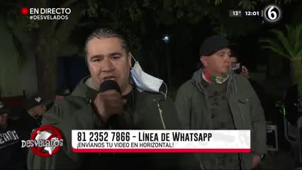 De 'La Flor de Lingo' a 'Lingo Squad', ¿hubo diferencias entre los ...