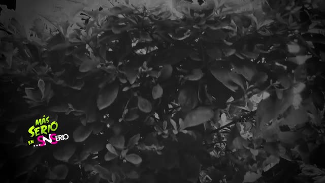 La historia paranormal de Memito Millonario