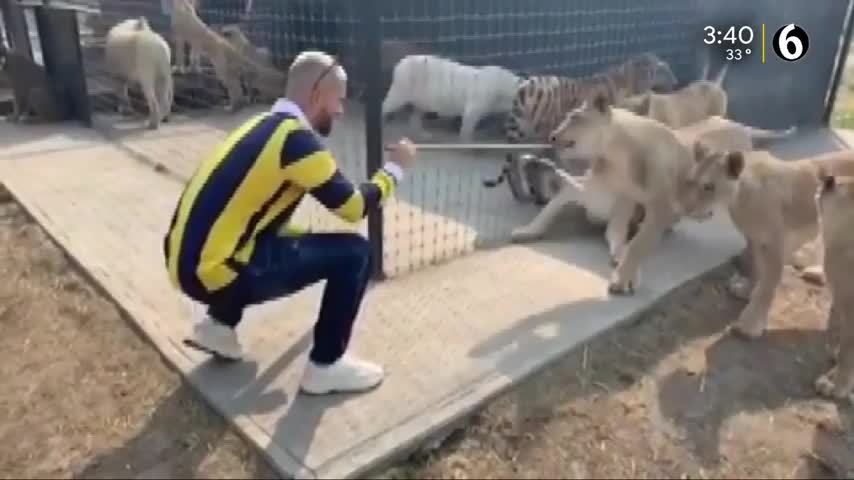 Tras ser acusado de maltrato animal, Maluma cierra su cuenta de Instagram