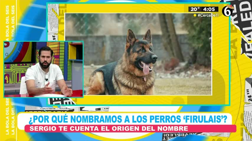 ¿Por qué nombramos a los perros 'Firulais'?